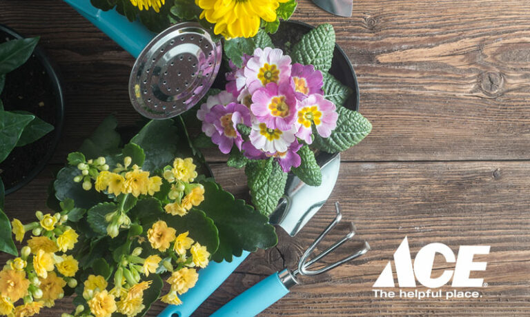 May Home Maintenance Checklist | Central Coast Ace Hardware