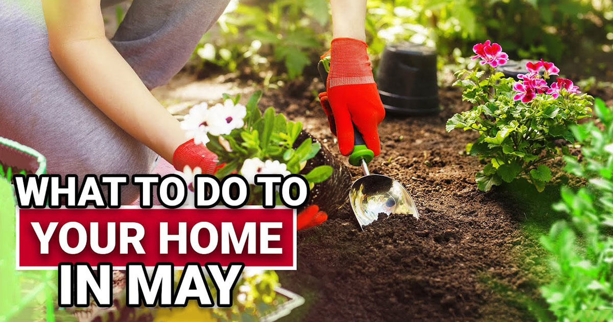 May Home Maintenance Checklist | Central Coast Ace Hardware